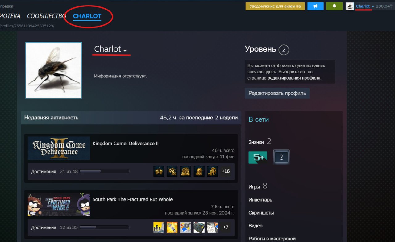 Как поменять ник и логин в Steam - CQ